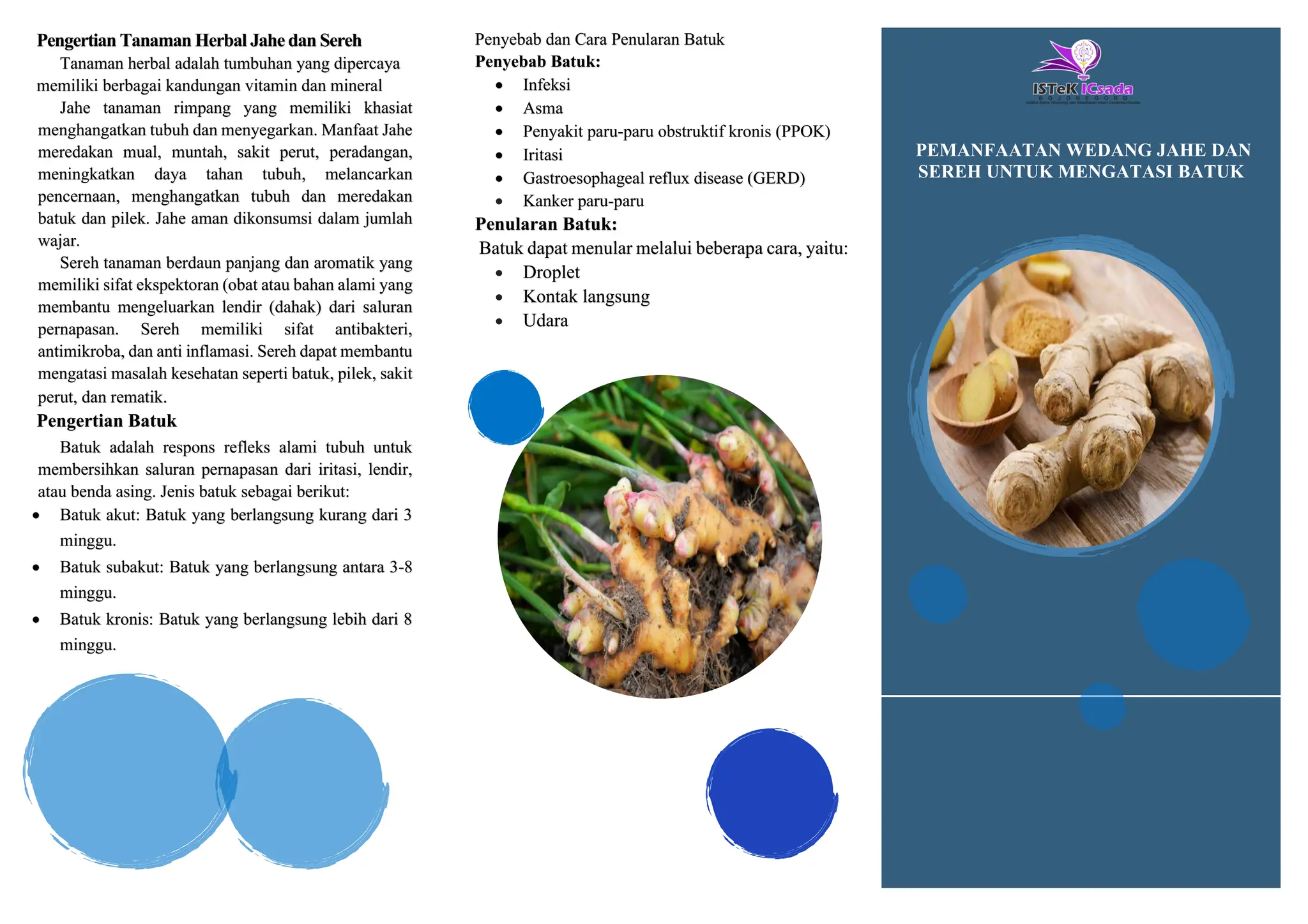 JAHE MERUPAKAN PRODUK TANAMAN HERBAL UNTUK MERAWAT KESEHATAN TUBUH | PDF