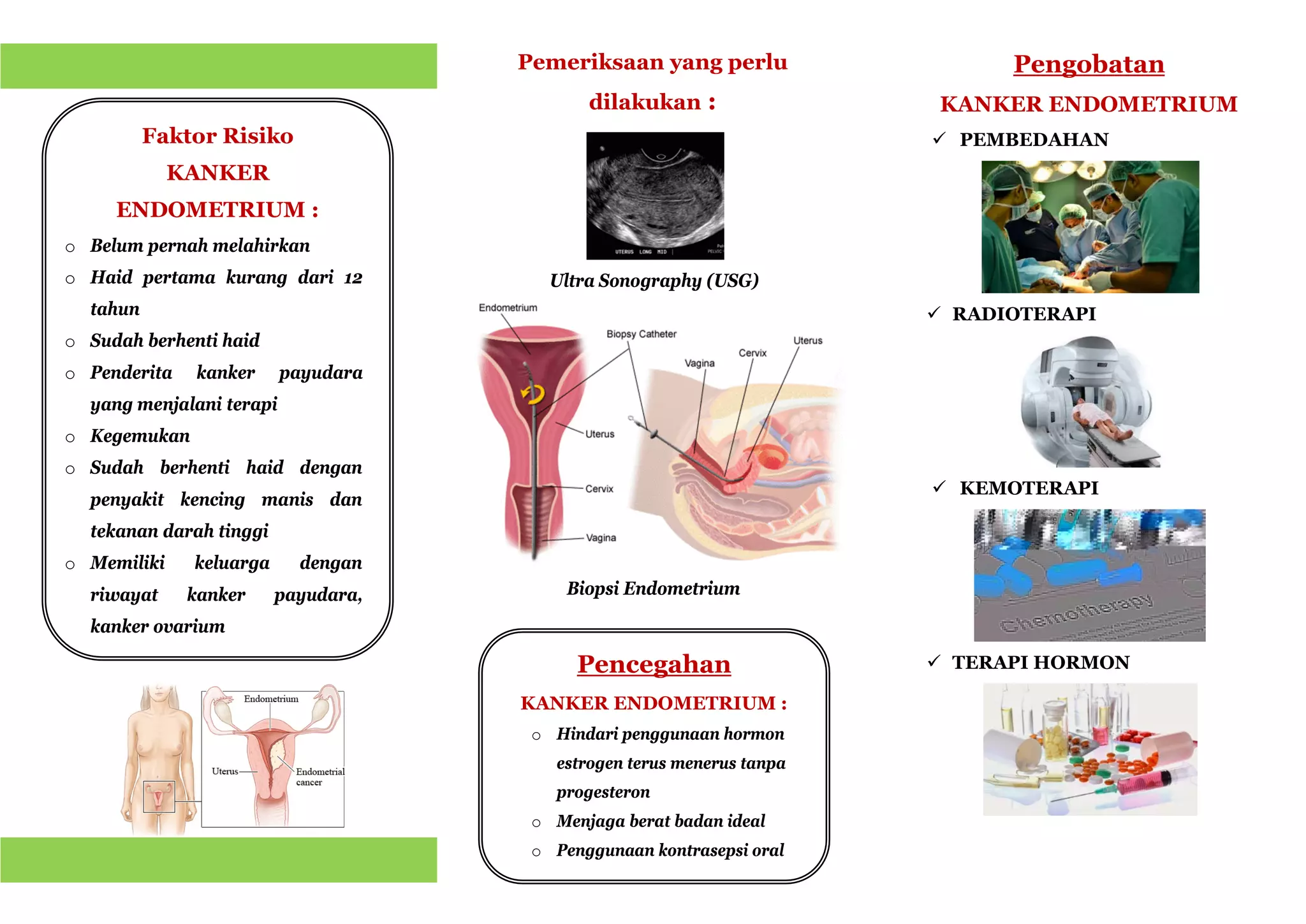Leaflet kanker endometrium | PDF