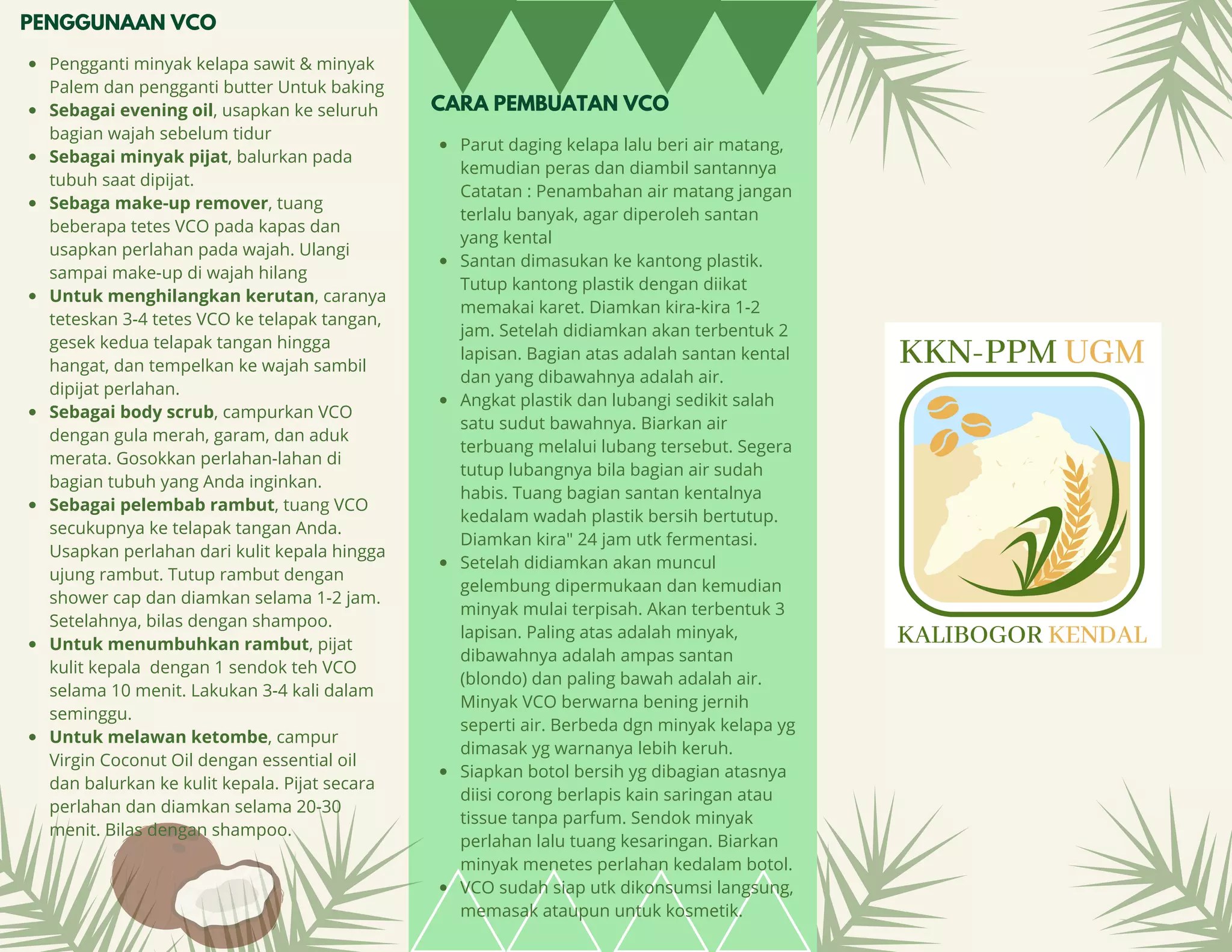 Leaflet pembuatan vco (virgin coconut oil) | PDF