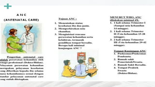 leaflet anc dan imd.pdf