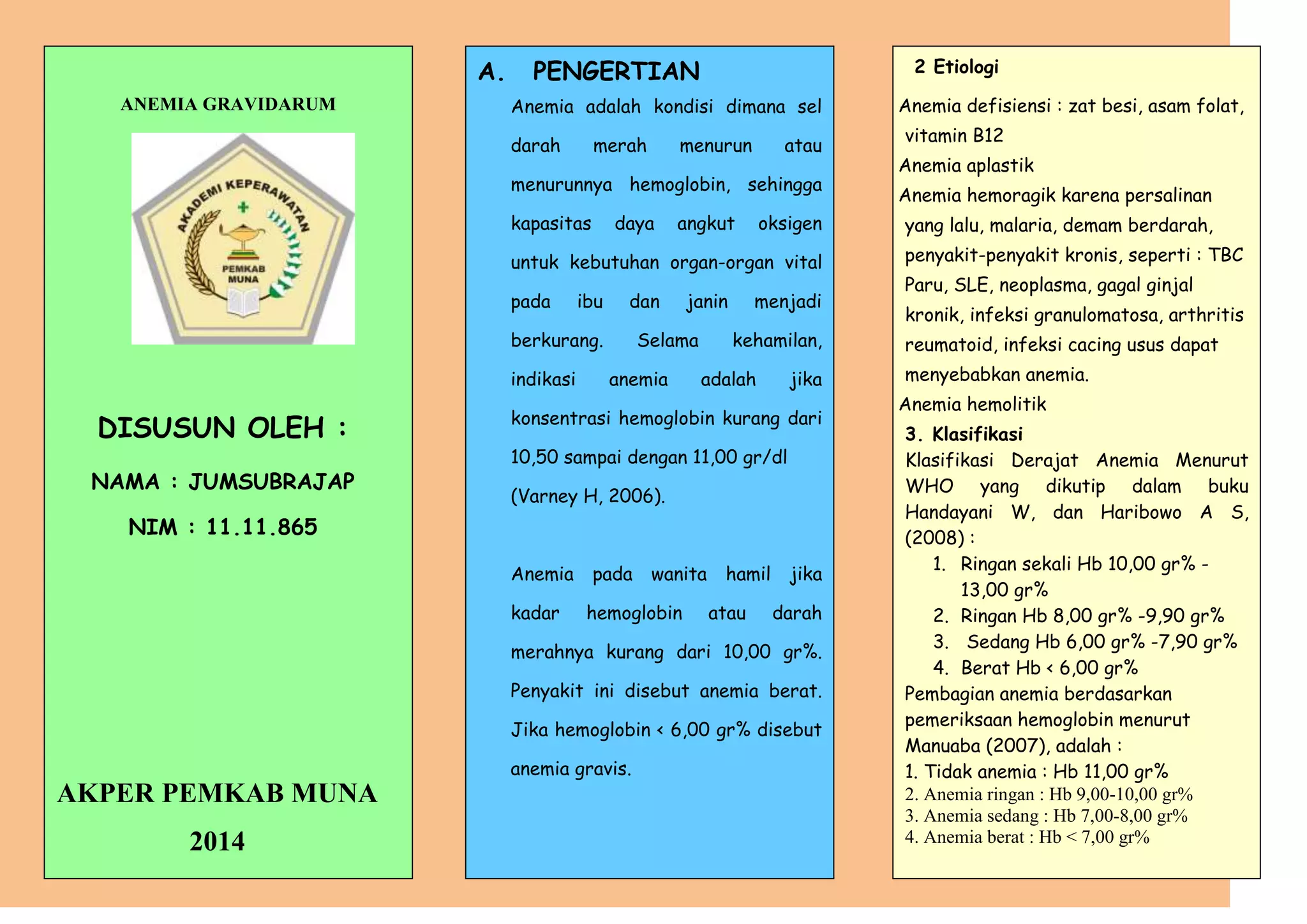 Leaflet anemia gravidarum | PPT