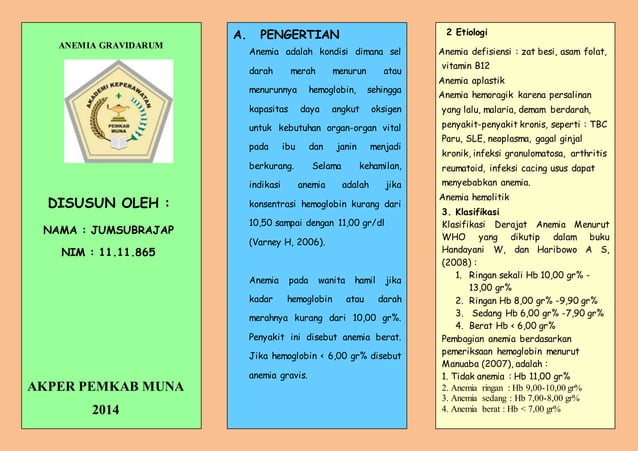 Leaflet anemia gravidarum | DOCX