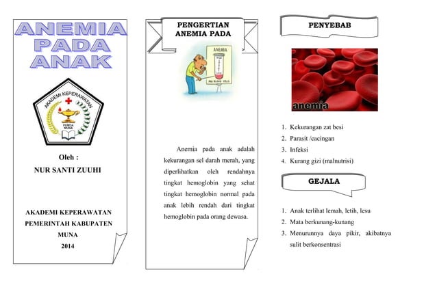 Leaflet anemia pada anak akper pemda muna | PPT