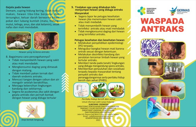 Leaflet tentang penyakit Antraks 2021.pdf