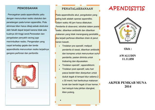 Leaflet apendisitis akper pemda muna | PPT