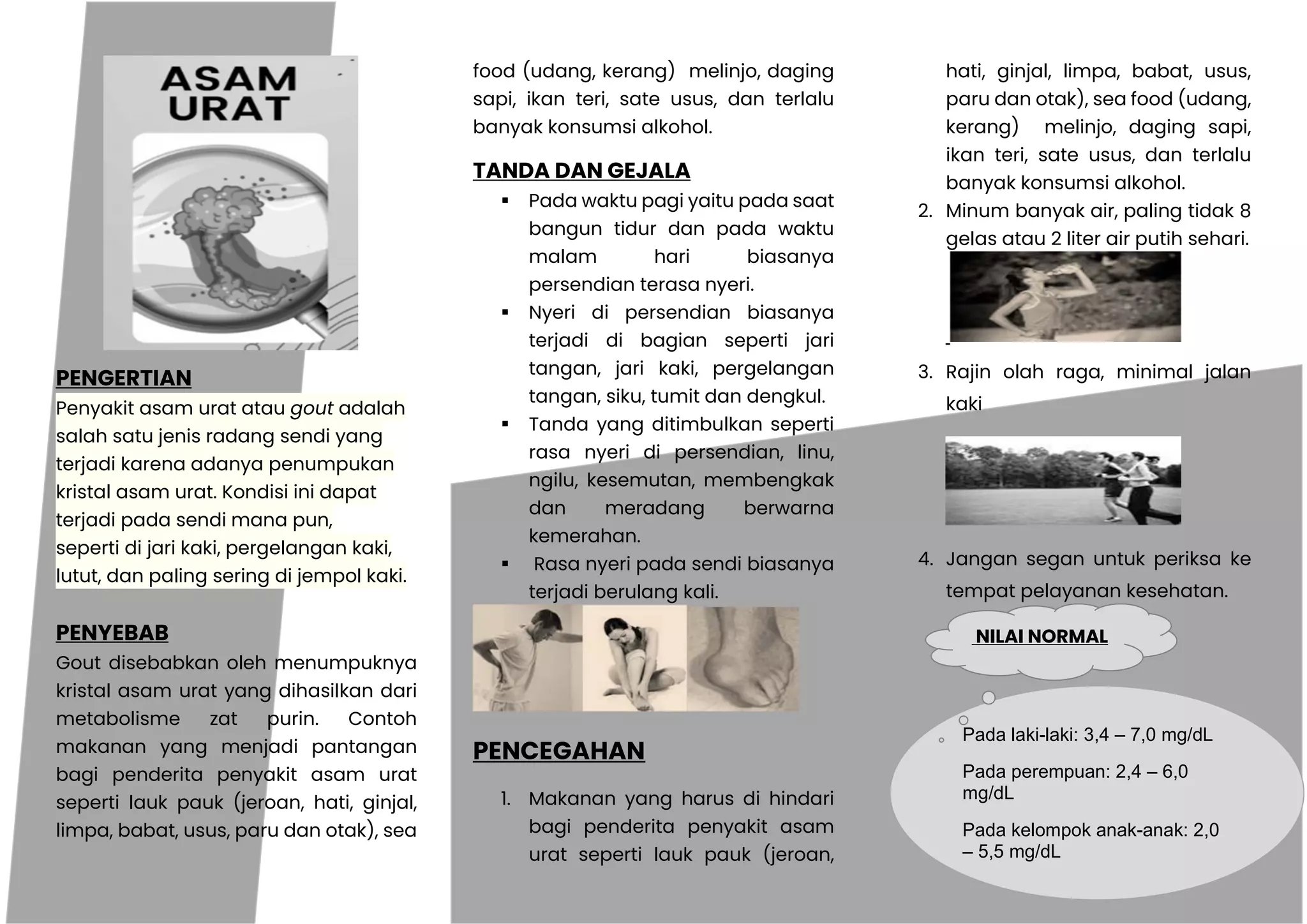 leaflet asam urat.pdf