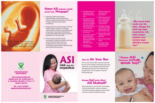 Leaflet ASI EKSLUSIF PROMOSI KESEHATAN | PPT