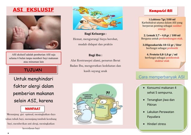 Leaflet asi fix | PPT
