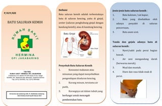 LEAFLET BATU SALURAN KEMIH 2023.pdf
