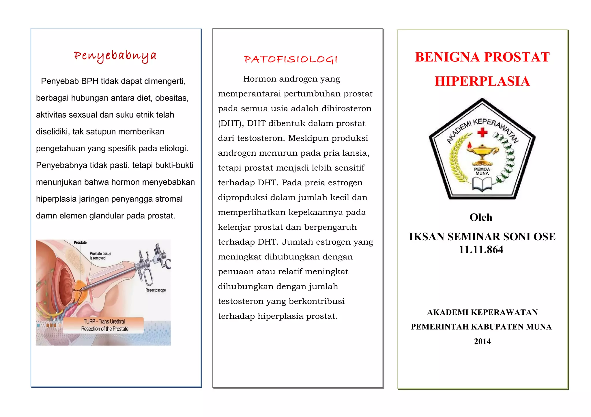 Leaflet bhp akper pemda muna | PPT