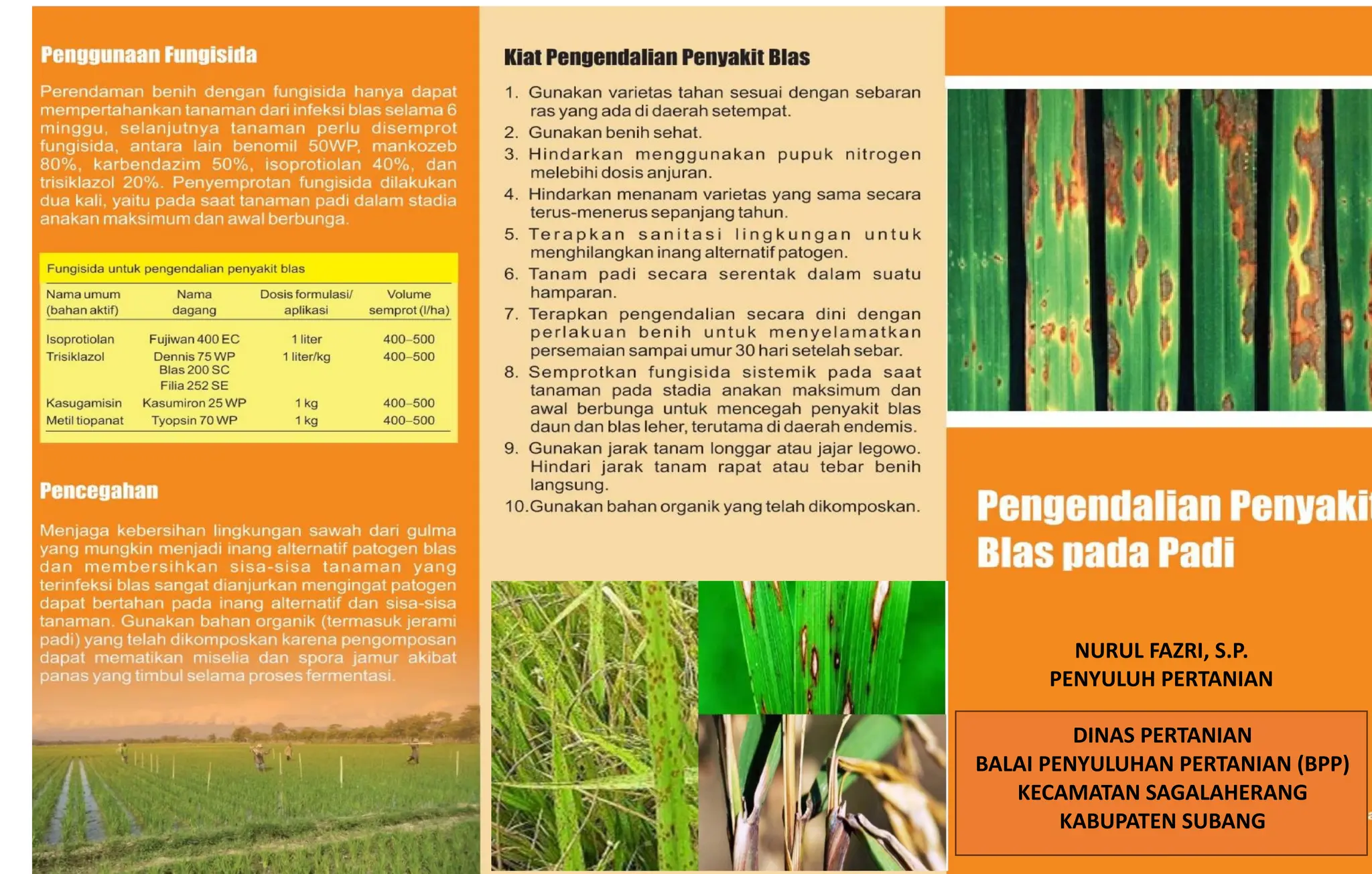 Pengenalan dan cara pegendalian penyakit blas pada padi | PDF