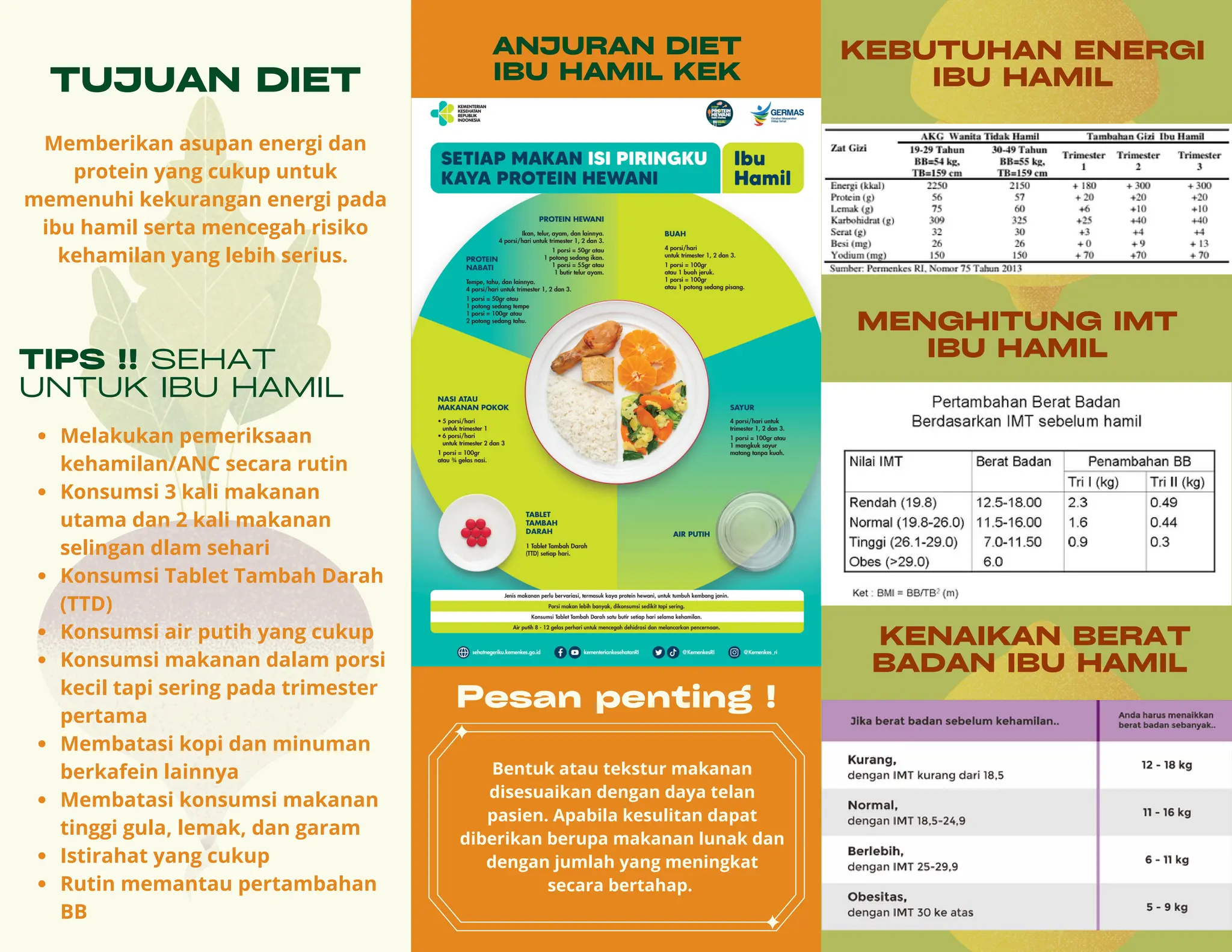 Leaflet asuhan gizi ibu hamil kurang energi kronis | PDF