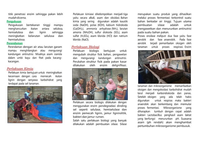 Leaflet cara pengolahan limbah pertanian menjadi pakan ternak | PPT