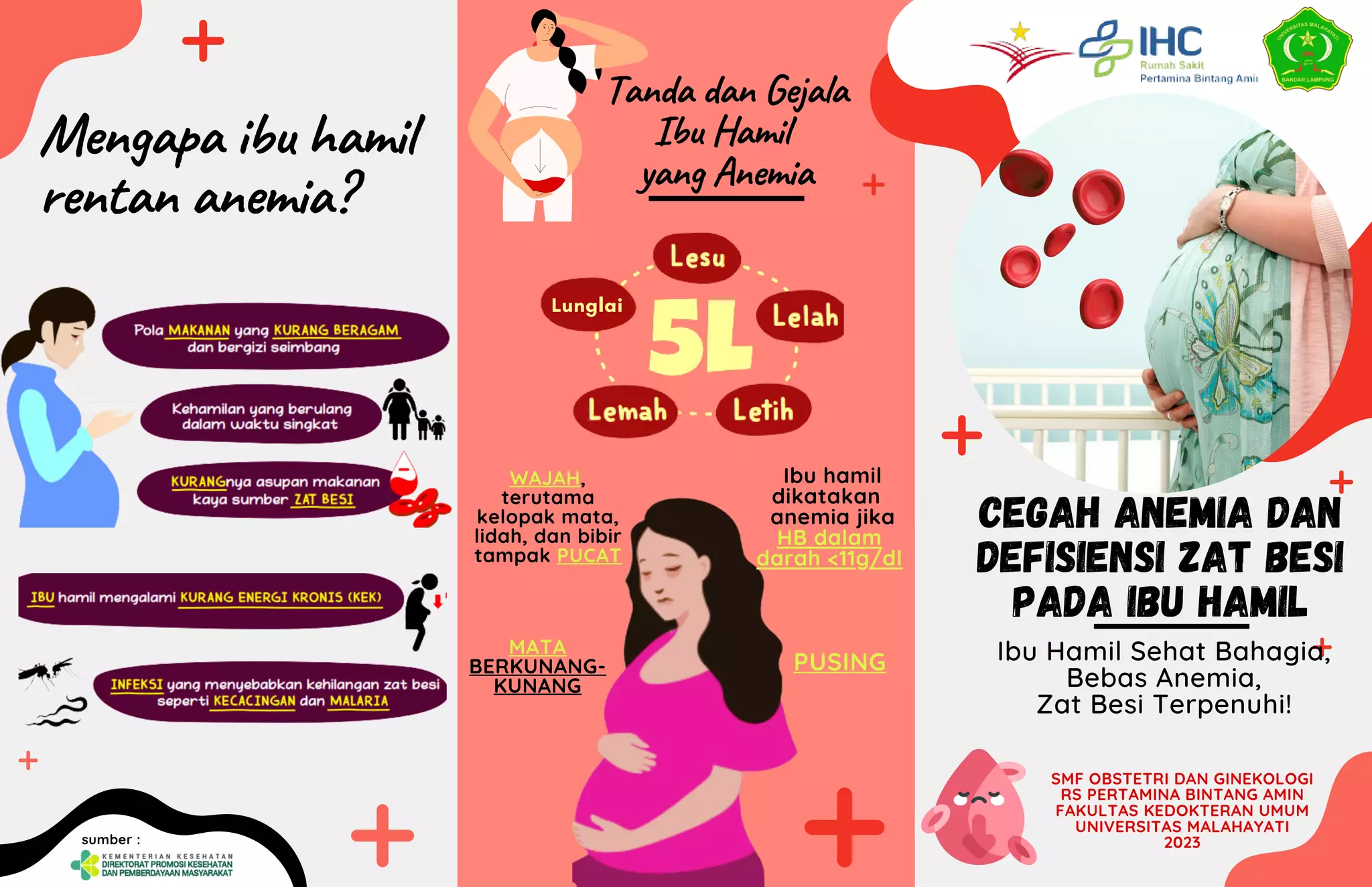 Leaflet Cegah Anemia Pada Ibu Hamil.pdf