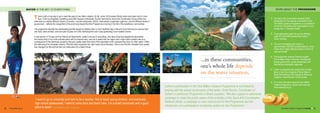 Water: Source of life and change - One Million Cisterns Programme | PDF