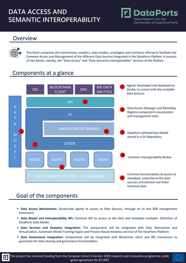 Data Access and Semantic Interoperability | PDF