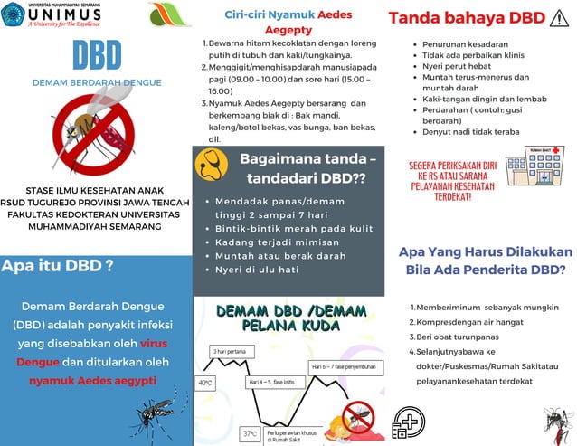 leaflet DBD agstri.pdf