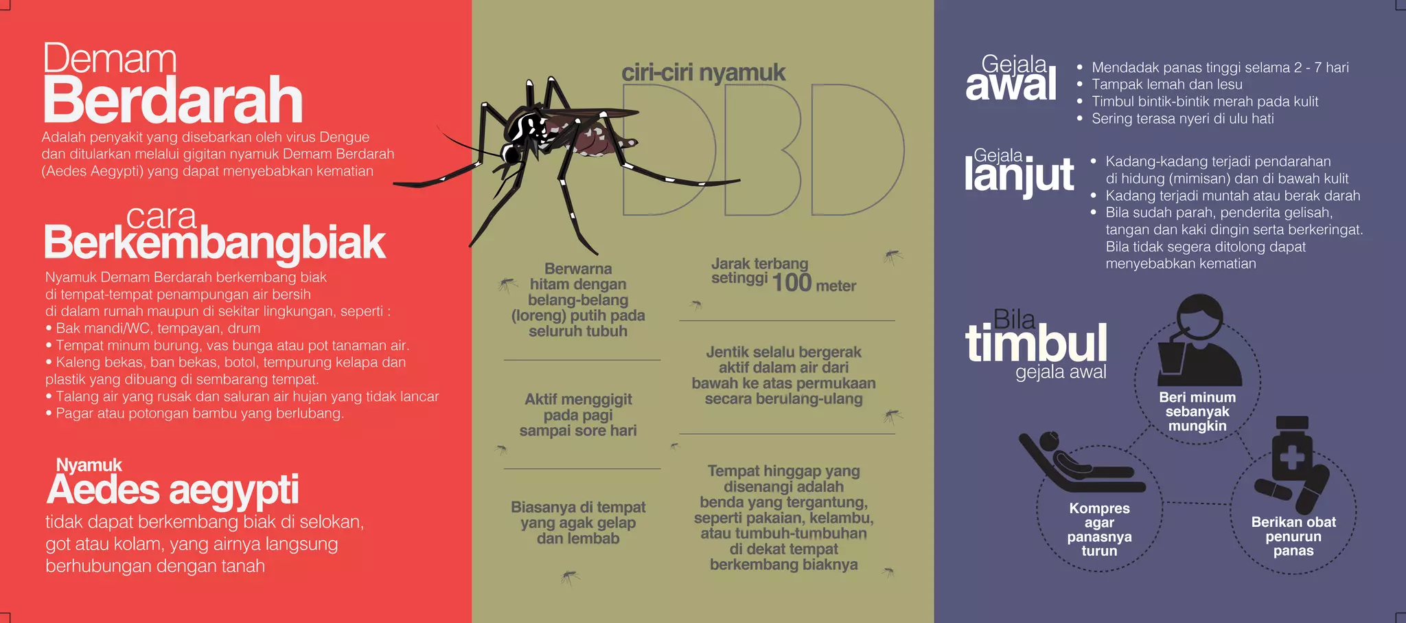 LEAFLET DBD PUSKESMAS.pdf