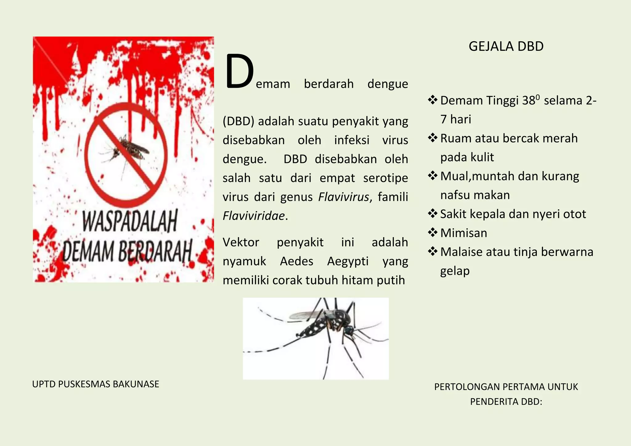 Leaflet DBD_UPTD Puskesmas Bakunase.docx