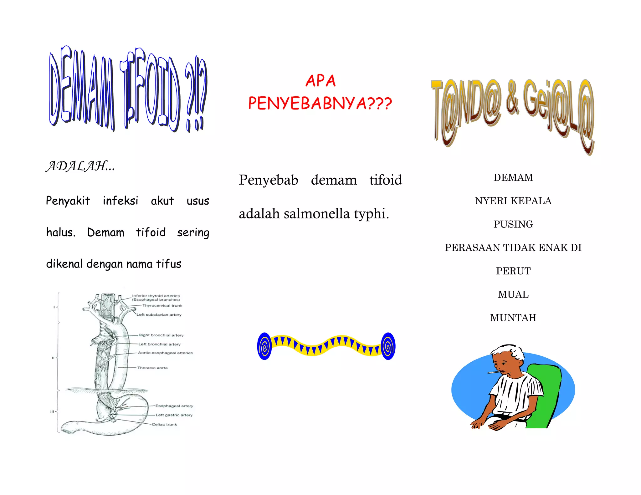 Leaflet demam tifoid | DOC