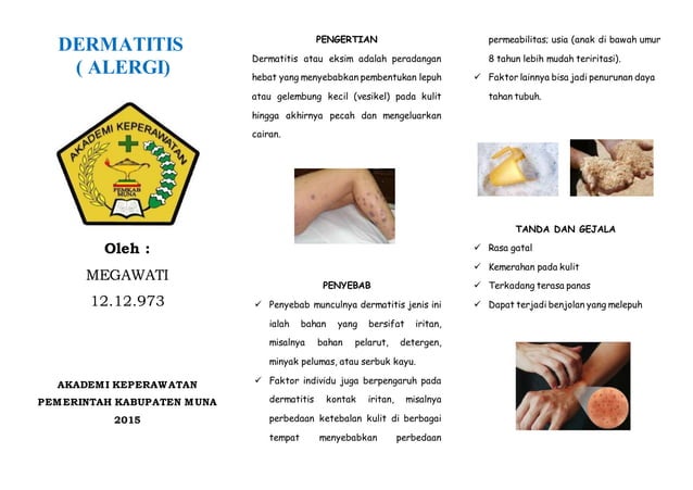 Leaflet dermatitis akper pemkab muna | DOCX