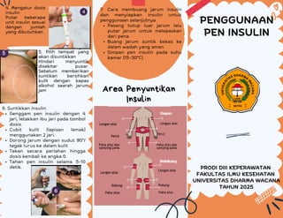 Panduan Lengkap Penggunaan Insulin dan Cara Pemberiannya | PDF
