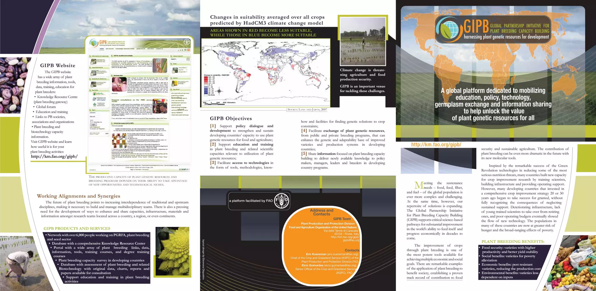 Leaflet For Fao | PDF