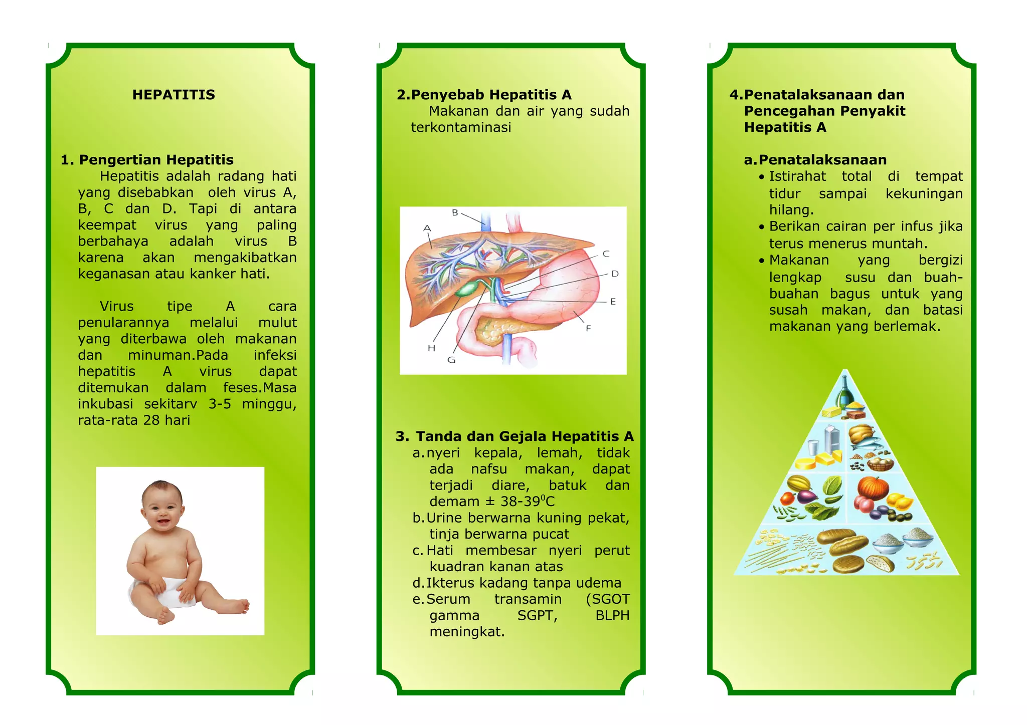 Leaflet hepatitis anu oci | DOC