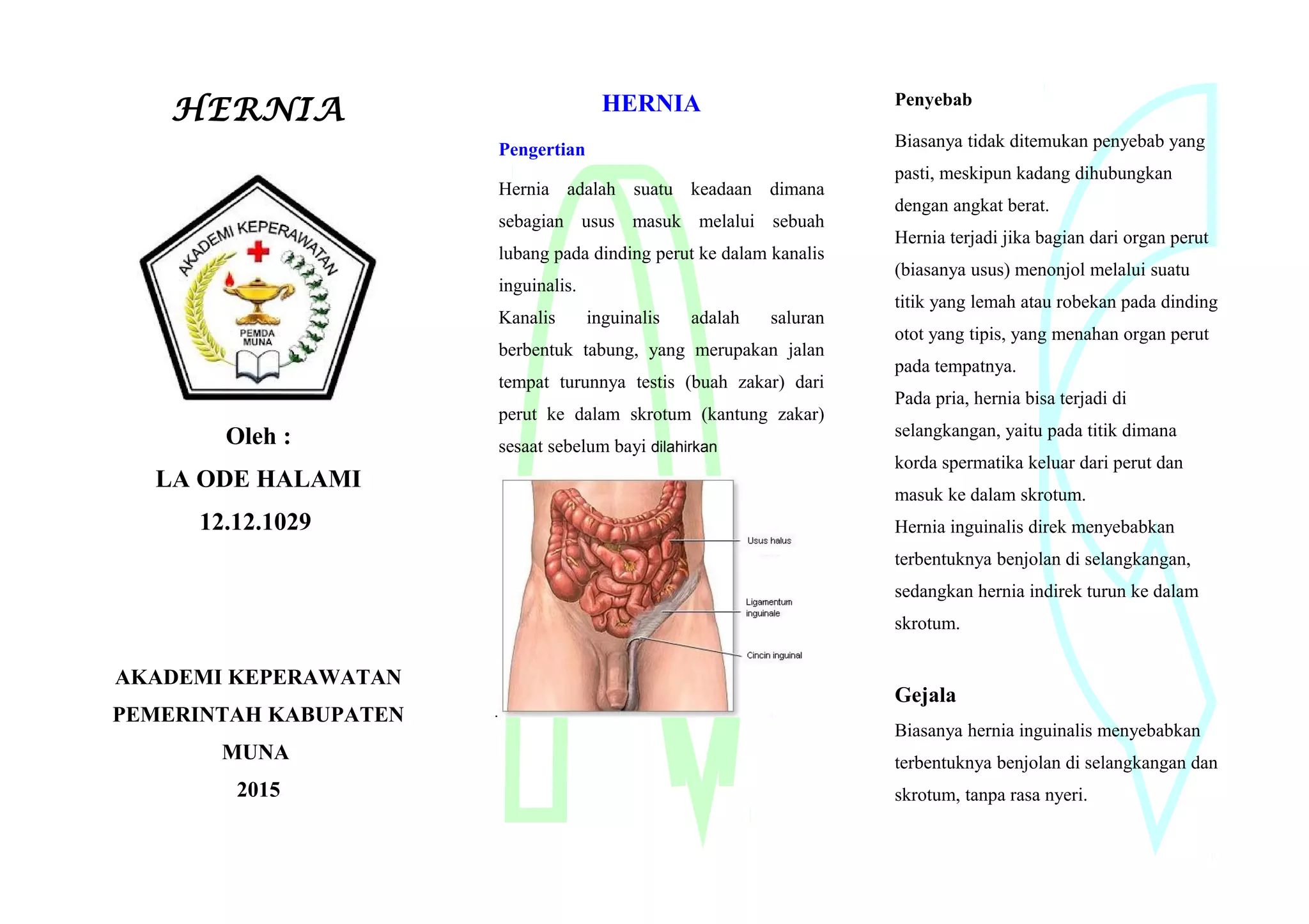 Leaflet hernia akper pemda muna | PPT