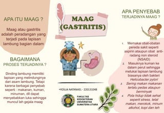 leaflet IKM, gastritis dan pencegahannya | PPTX