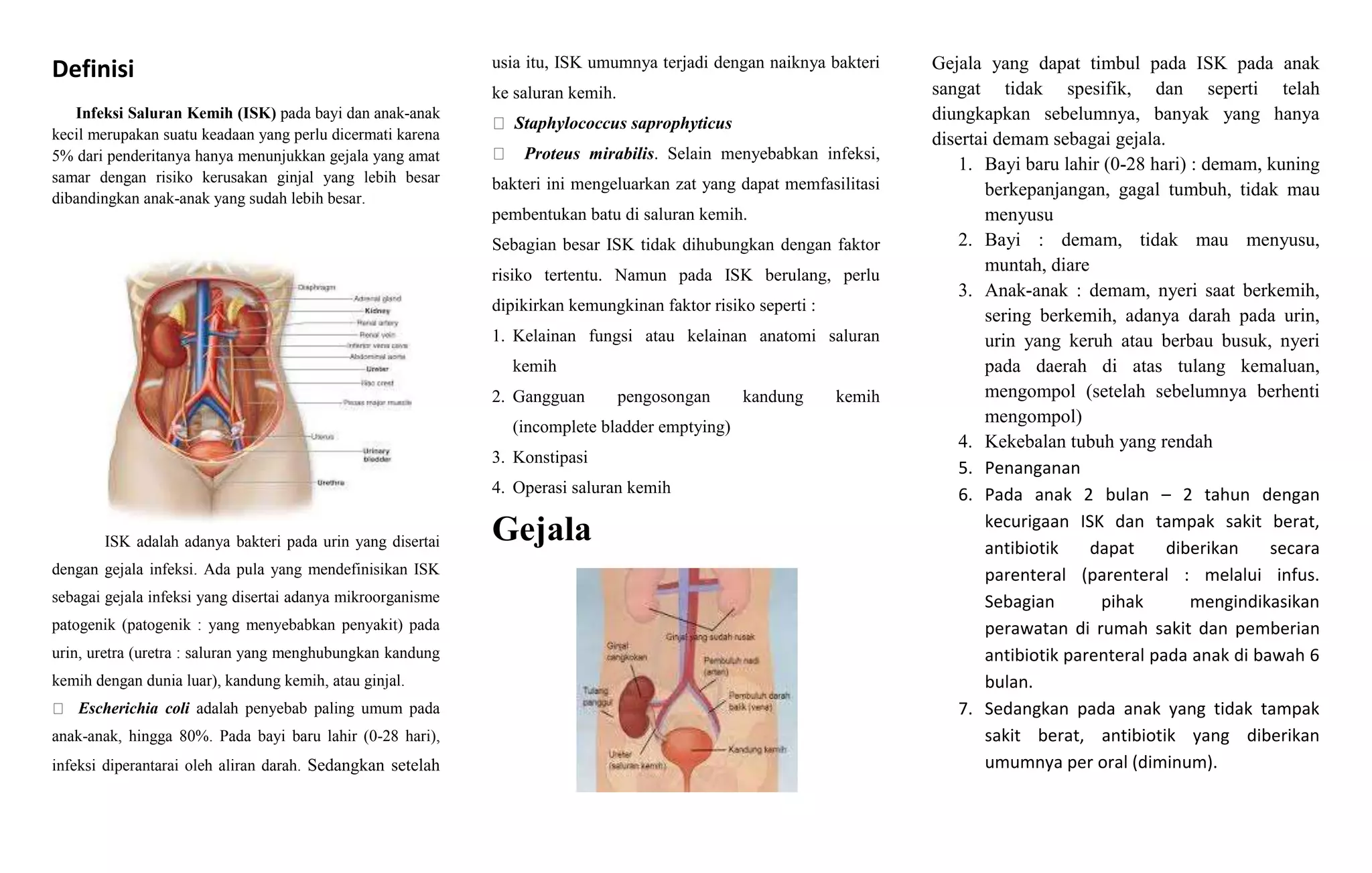 Leaflet isk akper raha | PPT