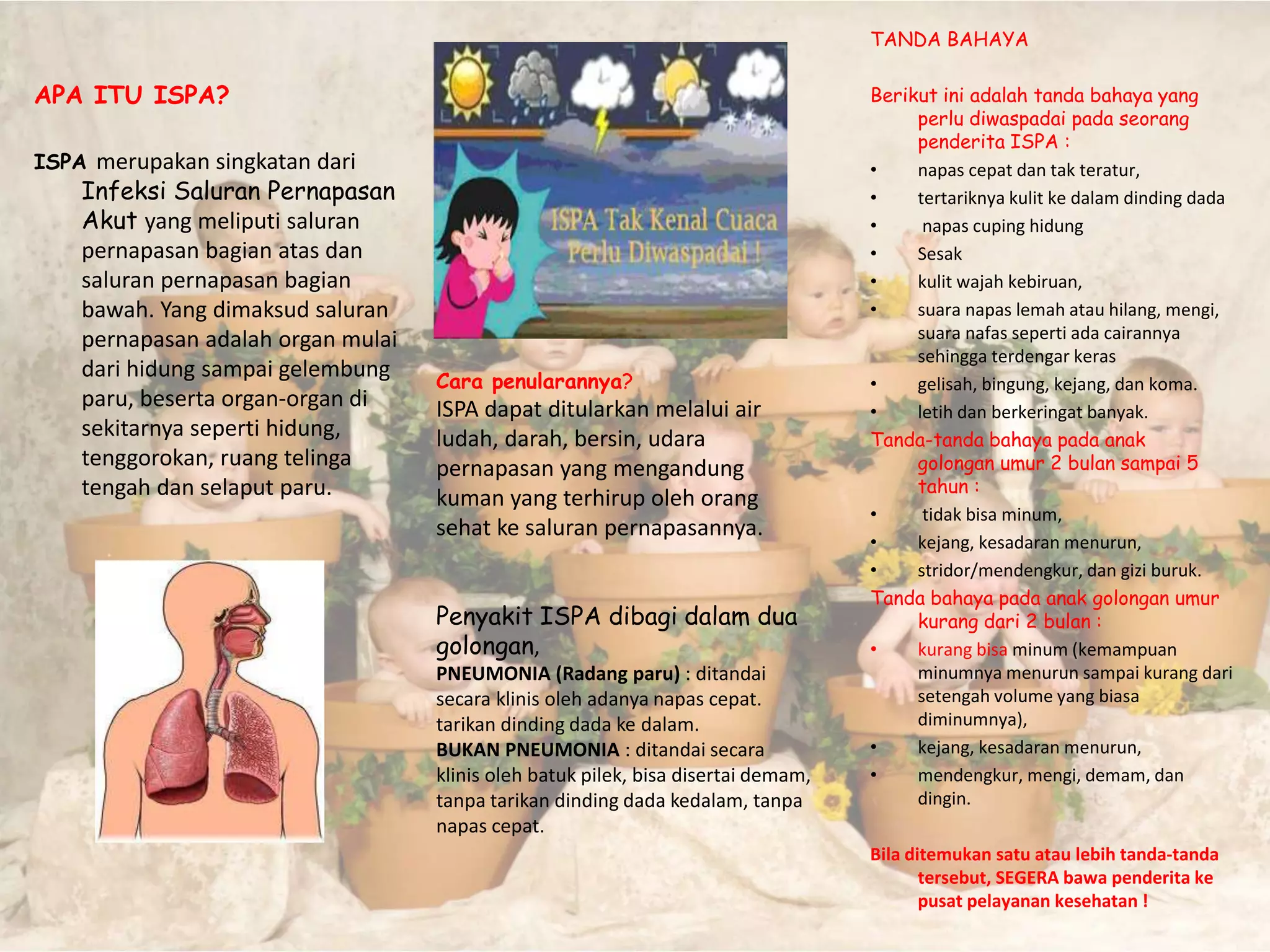 Leaflet ISPA pada Balita | PPTX