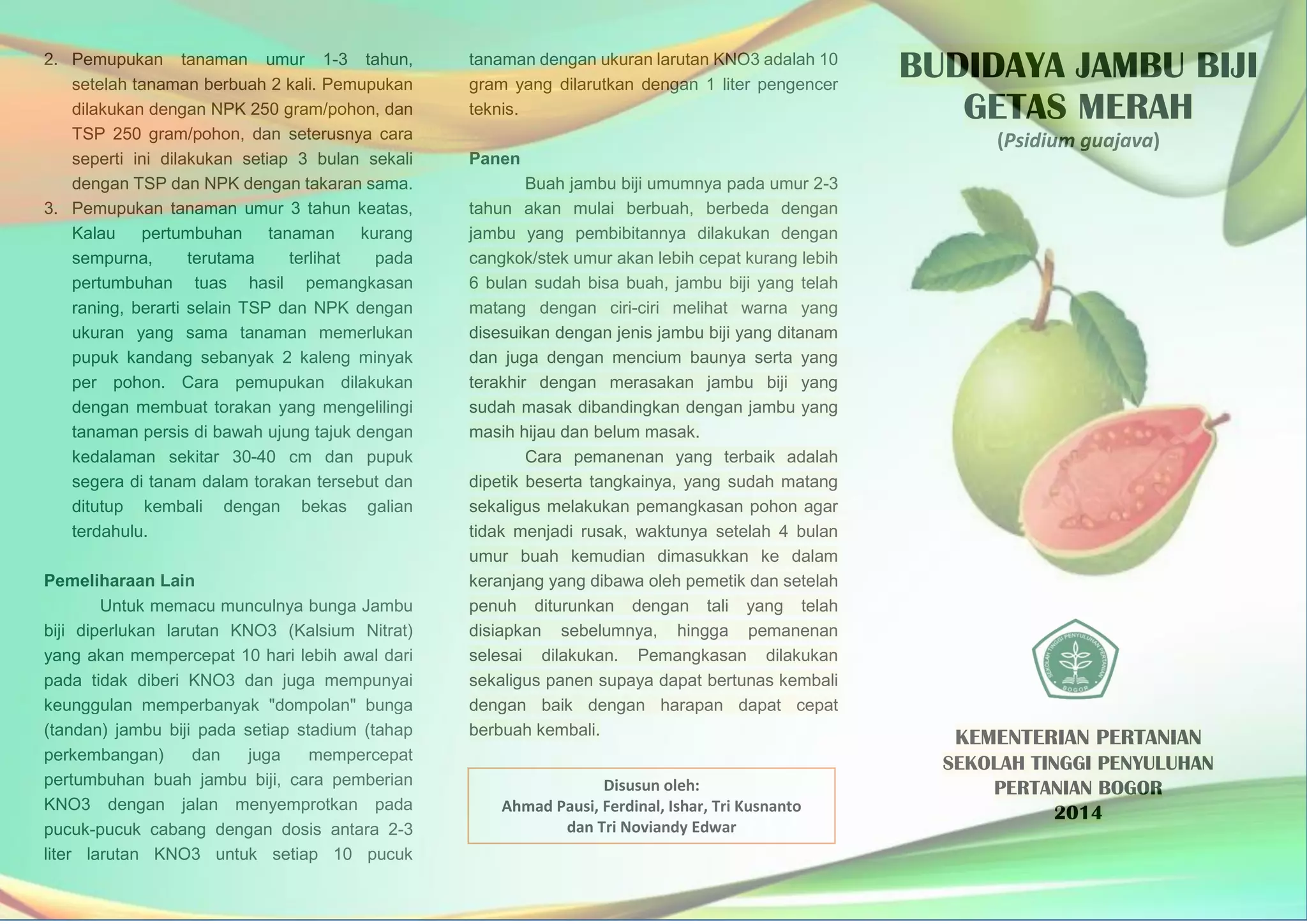 Leaflet jambu merah | PPT