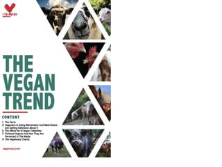 Leaflet layout | PPTX