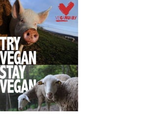 Leaflet layout | PPTX