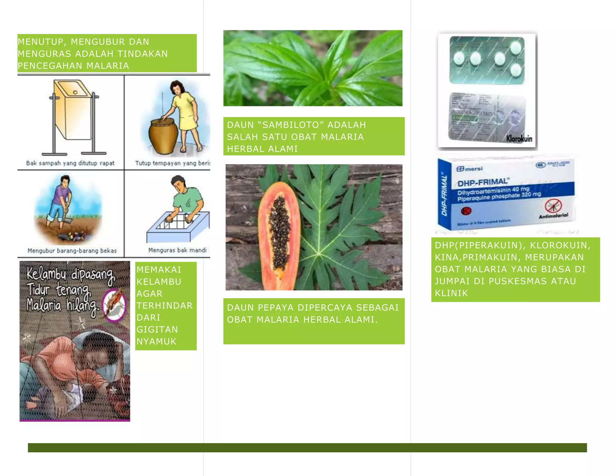LEAFLET_MALARIA.docx