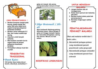 Leaflet malaria akper muna | DOC