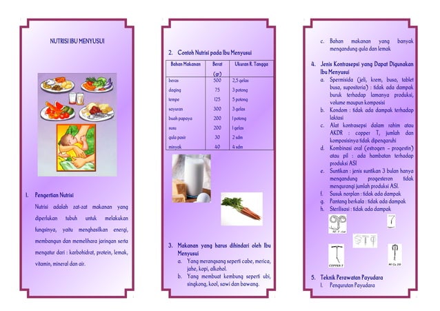 Leaflet nutrisi ibu menyusui a | PPT