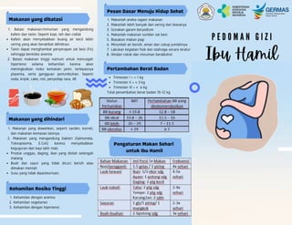 Leaflet_Pedoman_Gizi_Ibu_Hamil.pdf
