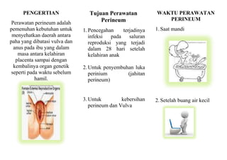 Leaflet p erineum | DOCX