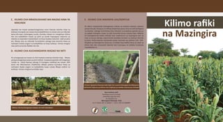 Kilimo RAfiki na Mazingira | PDF