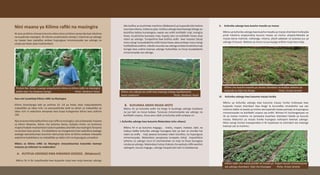 Kilimo RAfiki na Mazingira | PDF