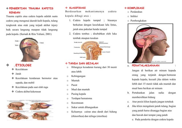 Trauma Kapitis - Perumperindo.co.id