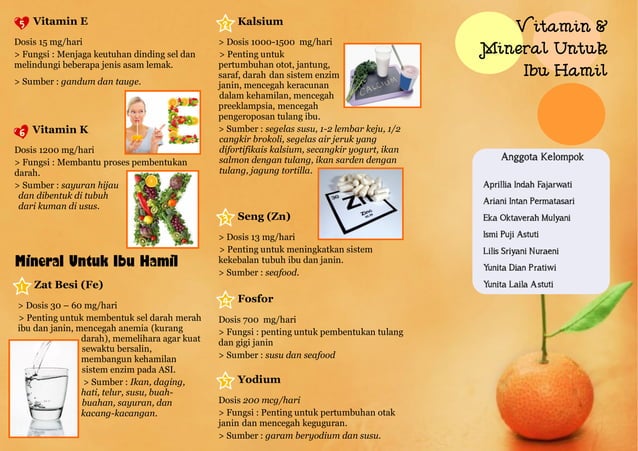 Leaflet vitamin dan mineral untuk ibu hamil | PDF