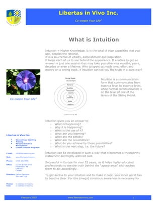 Leaflet What Is Intuition | PDF