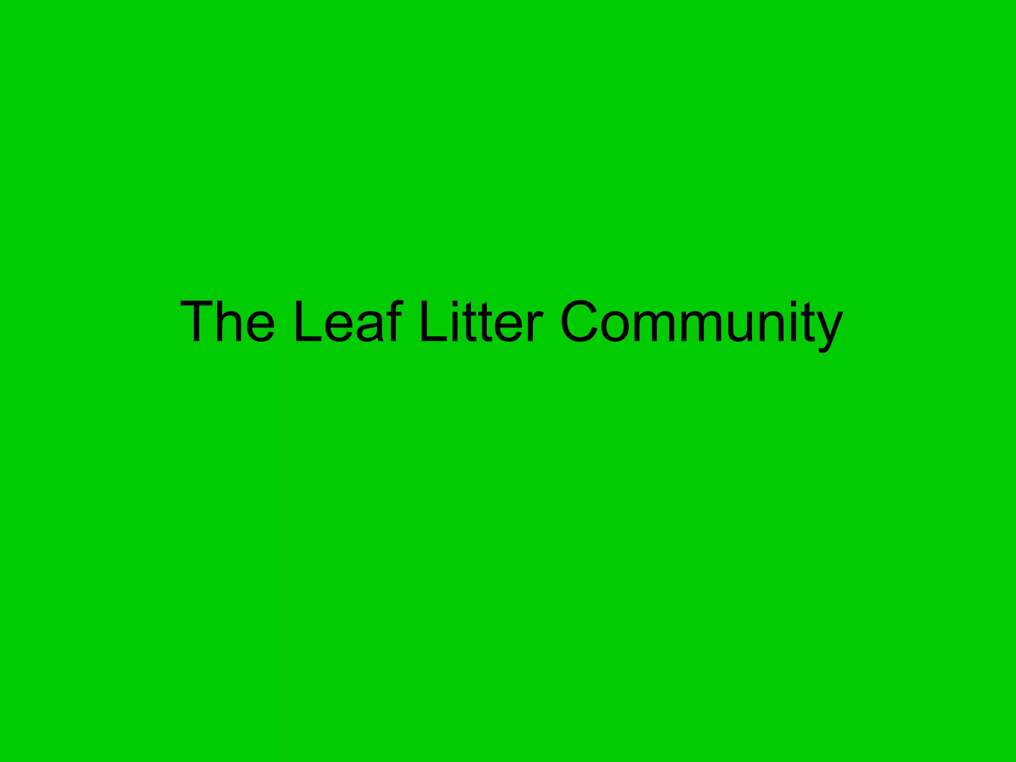 Leaf litter community | PPT