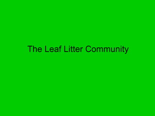 Leaf litter community | PPT