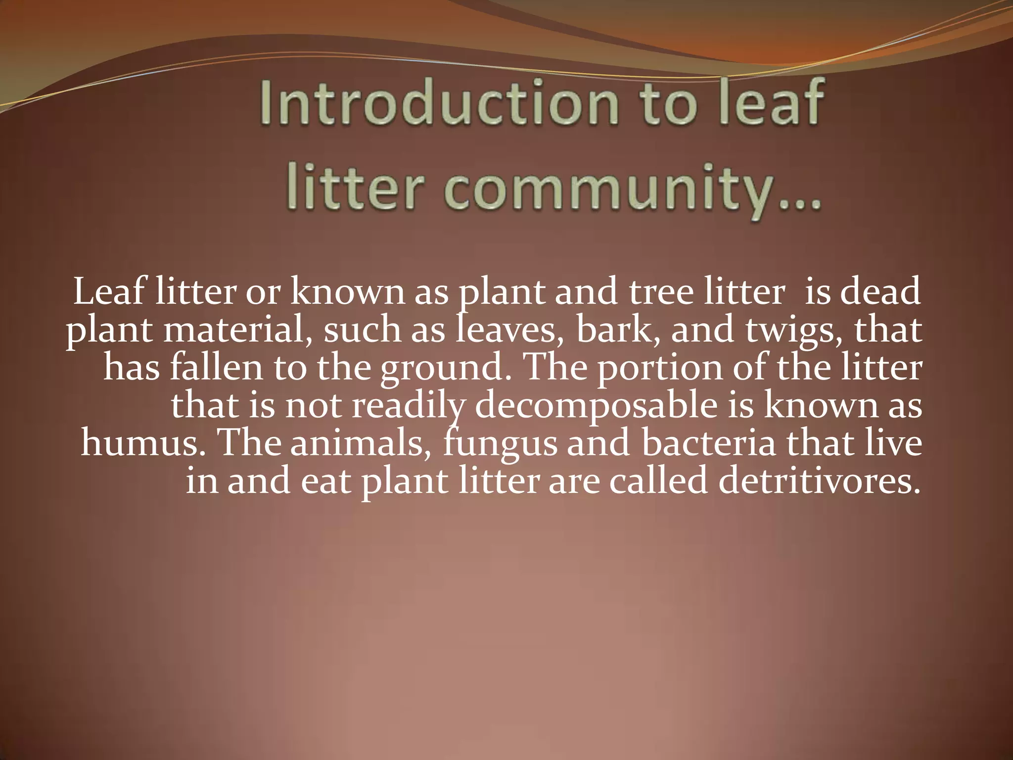 Leaf Litter Community | PPTX