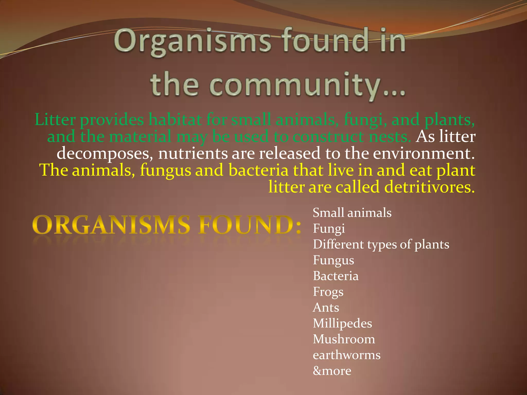 Leaf Litter Community | PPTX