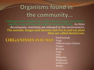 Leaf Litter Community | PPT